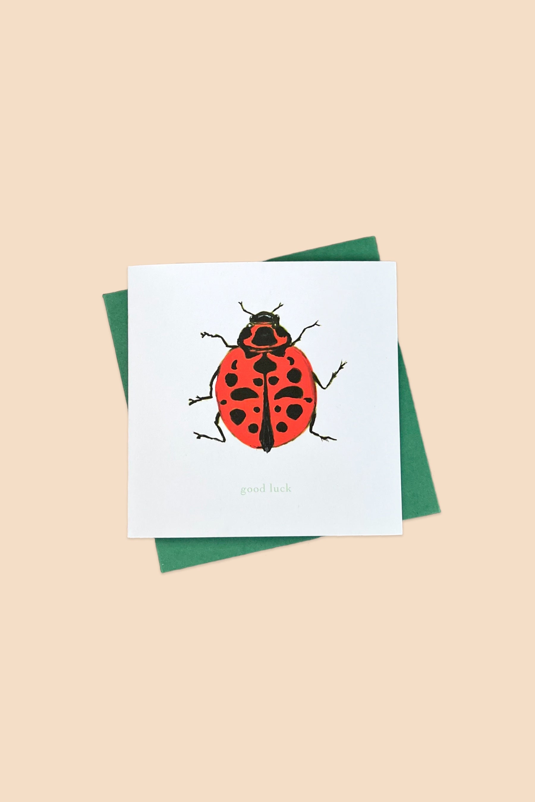 Ladybug Card – pop-joy-studio